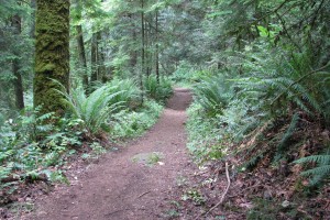 Spring Lake / Lake Desire Park