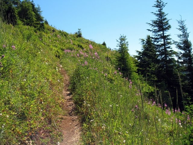 Mount Muller