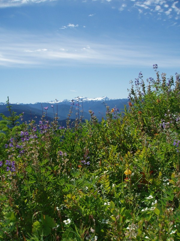 Mount Muller