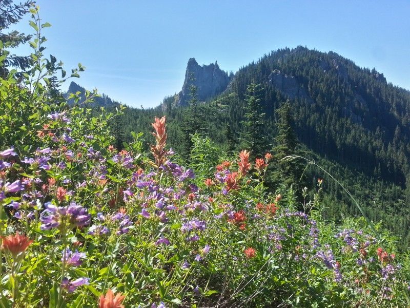 Kachess Ridge